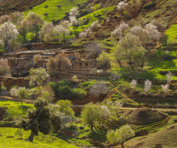 Visiting Morocco in March