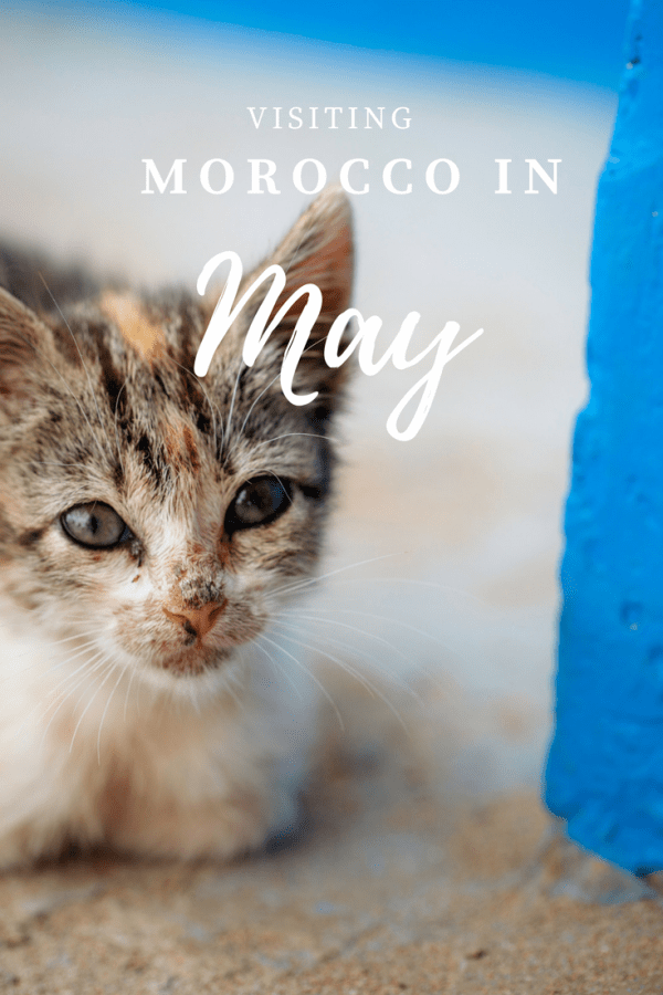 Visiting Morocco in May