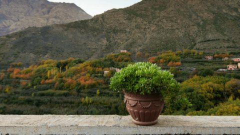 Visiting Morocco in the Fall? Here's What to Pack!