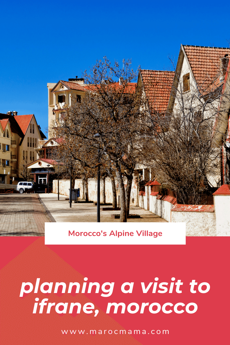 Visiting Ifrane - A Moroccan Alpine Village