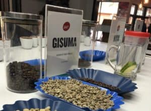 One Week Rwanda Itinerary - No Hiking Involved!