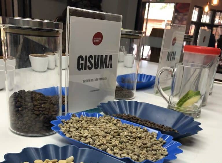 One Week Rwanda Itinerary - No Hiking Involved!