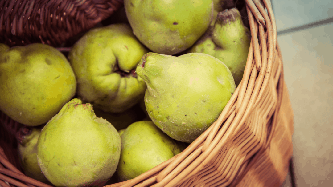 Matzo Stuffing Recipe with Fresh Herbs - MarocMama