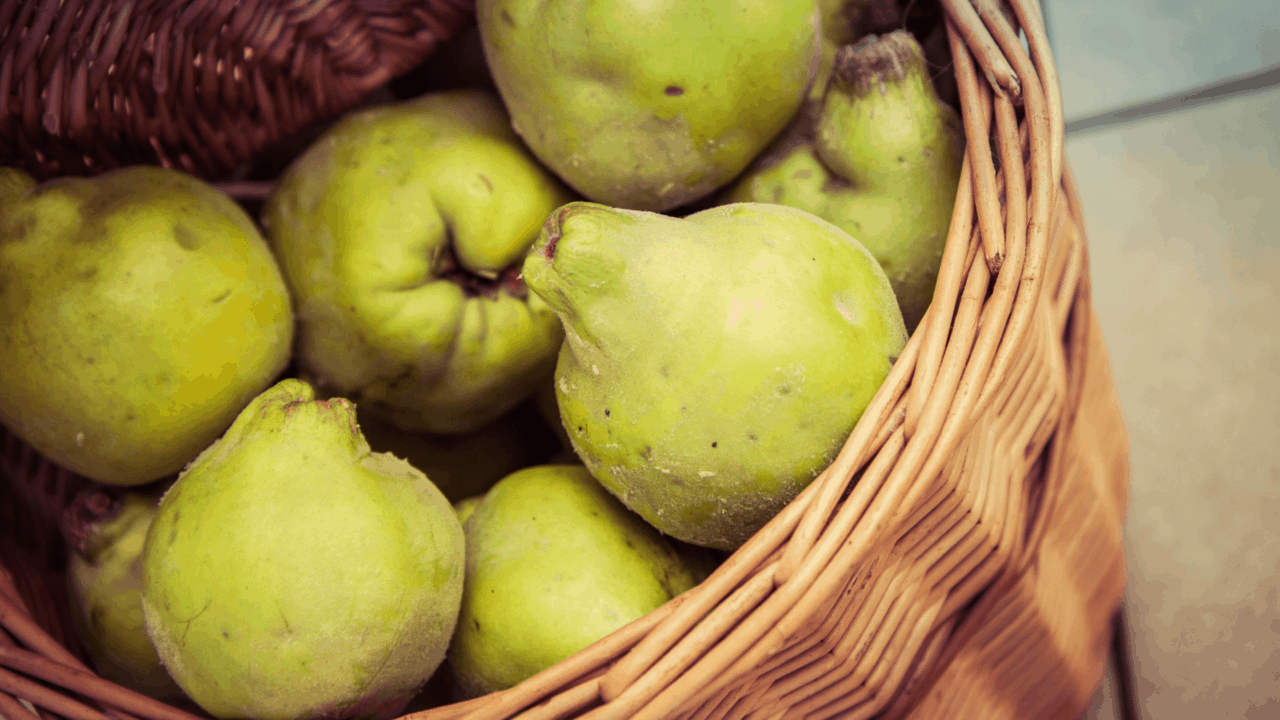 Matzo Stuffing Recipe with Fresh Herbs - MarocMama