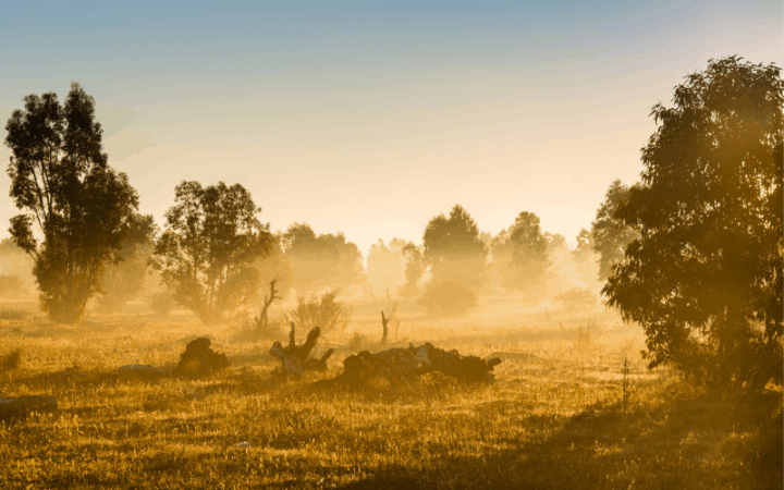 Everything You Need to Know about Marrakech Weather