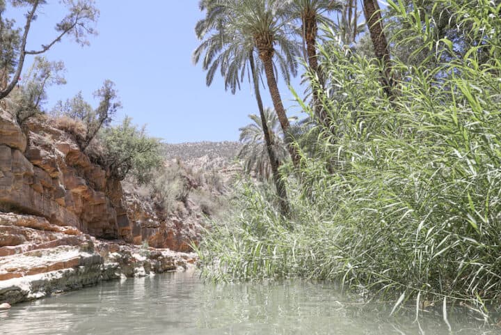 Paradise Valley Agadir - A Moroccan Oasis - MarocMama