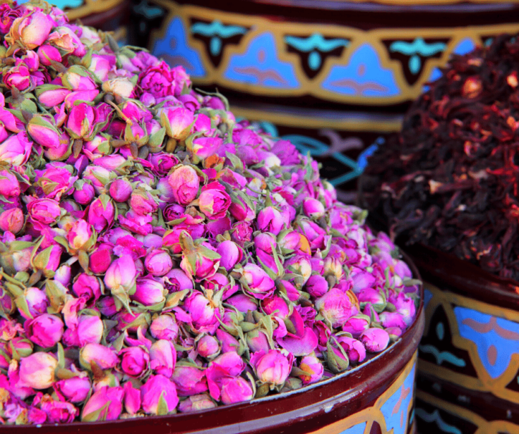 Rose Festival Morocco & the Valley of Roses - MarocMama