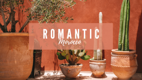 Rose Festival Morocco & the Valley of Roses - MarocMama