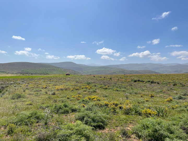 Visiting Al Hoceima, Morocco - What to Know - MarocMama
