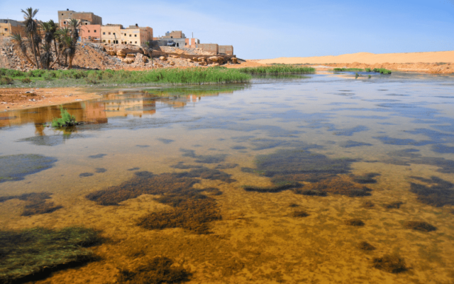 Destination Guide to Visiting Laayoune in Morocco - MarocMama