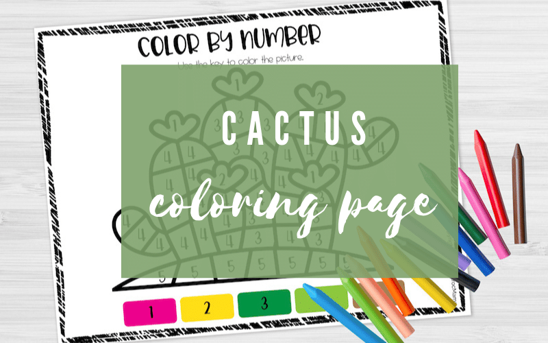 Cactus Coloring Sheets for Kids